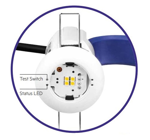 Startek Limited | Home